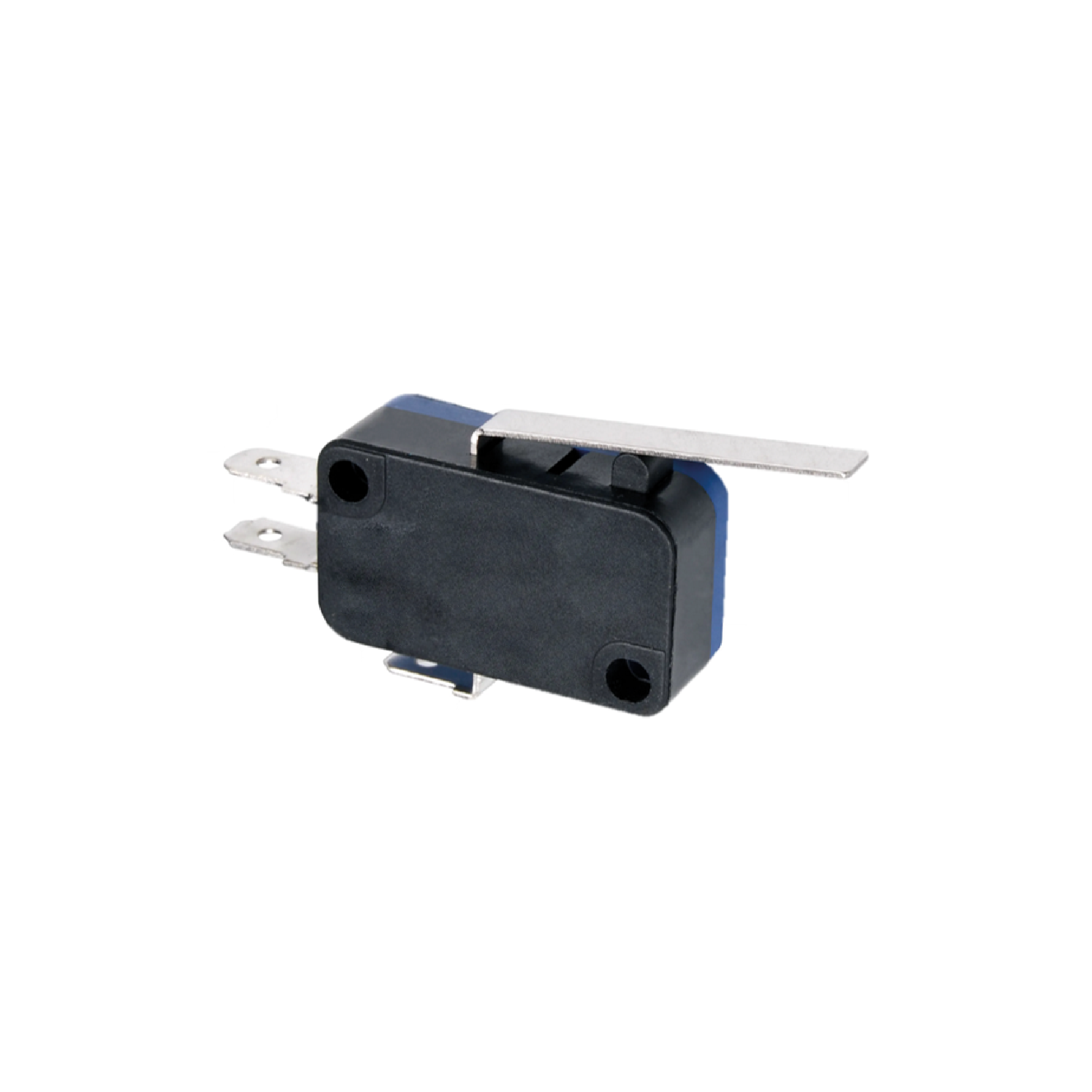 Micro Switch